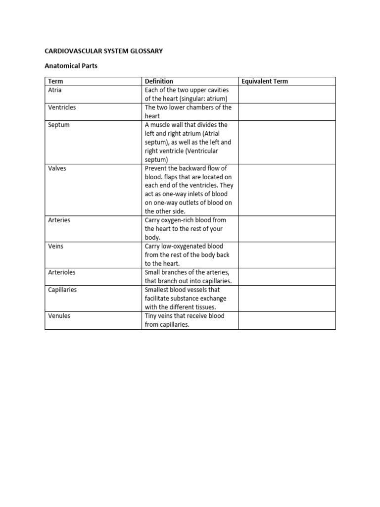 Cardiovascular System Glossary | PDF | Heart | Atrium (Heart)