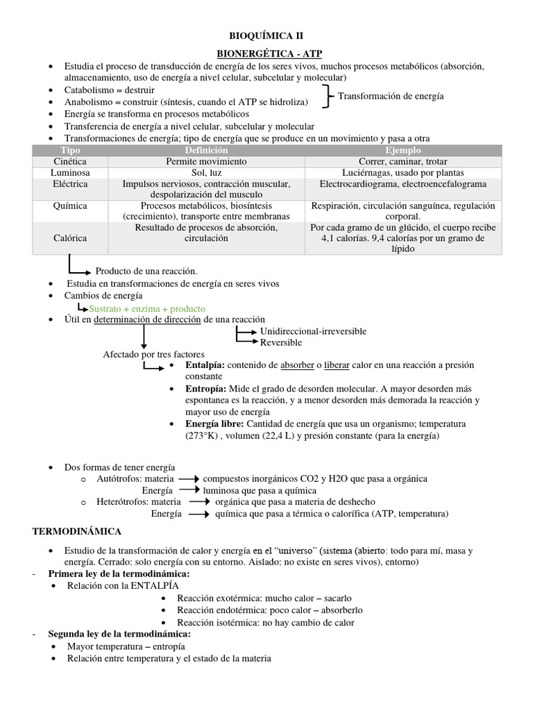 Bioquimica 2 - Completo | PDF | Digestión | Inhibidor de la enzima
