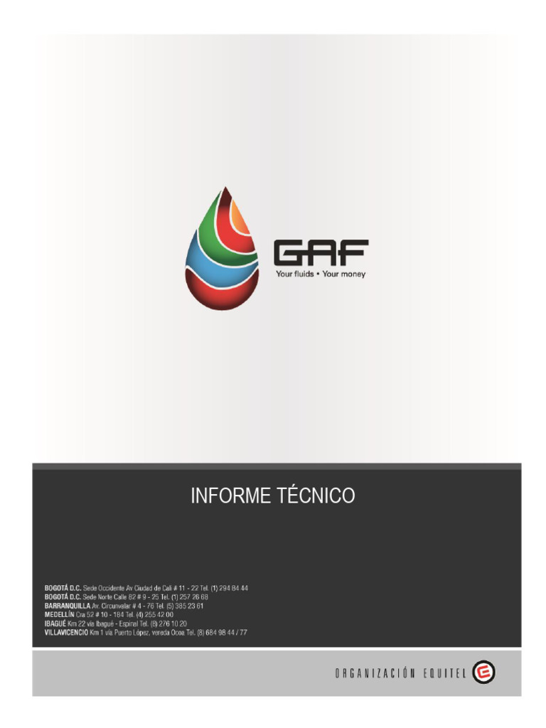 Informe de Pruebas Al Sistema | PDF