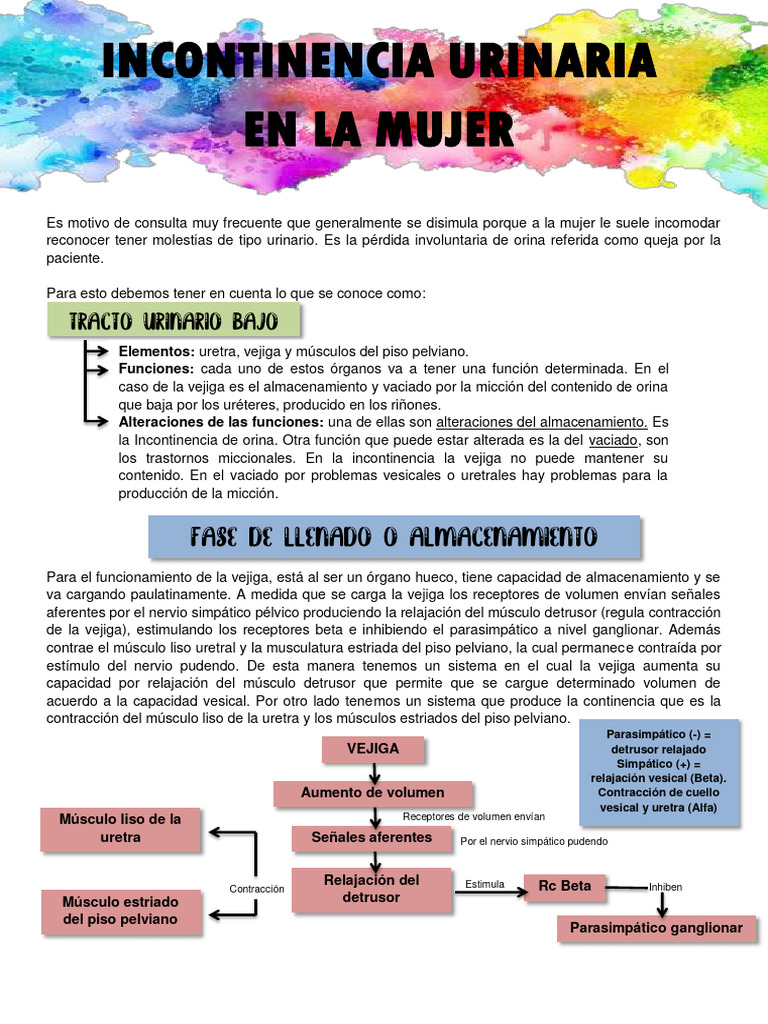 Incontinencia Urinaria Resumen | PDF | Micción | Sistema urinario