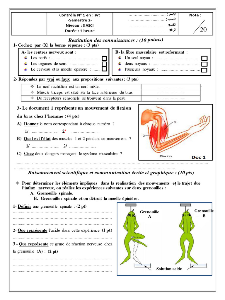 Évaluation SVT : Système Nerveux 3ème | PDF | Nerf | Organe