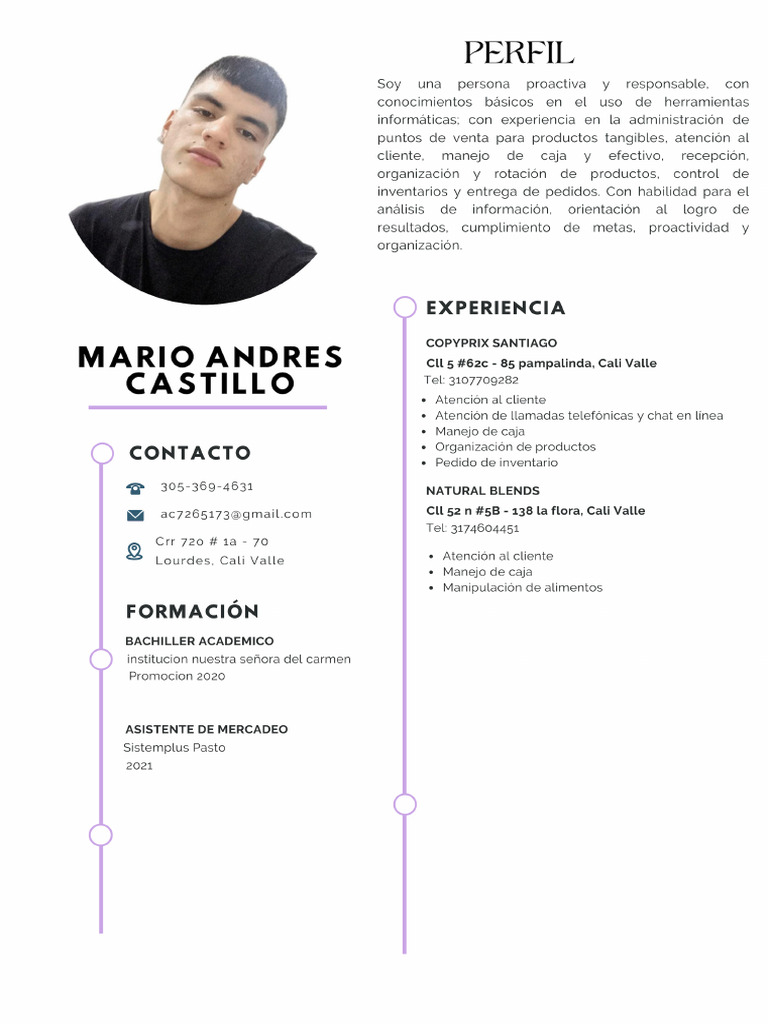 HOJA de VIDA - Andres Castillo | PDF