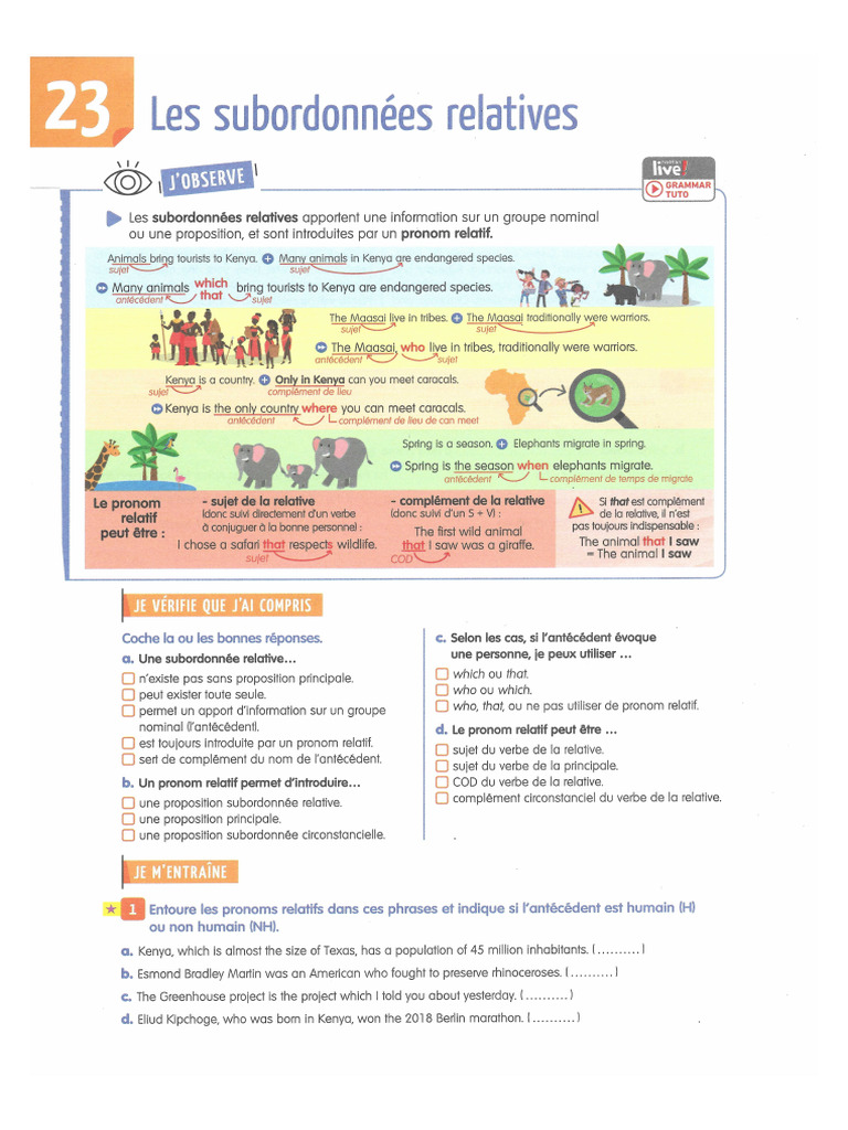 GRAMM Les Subordonnées Relatives | PDF