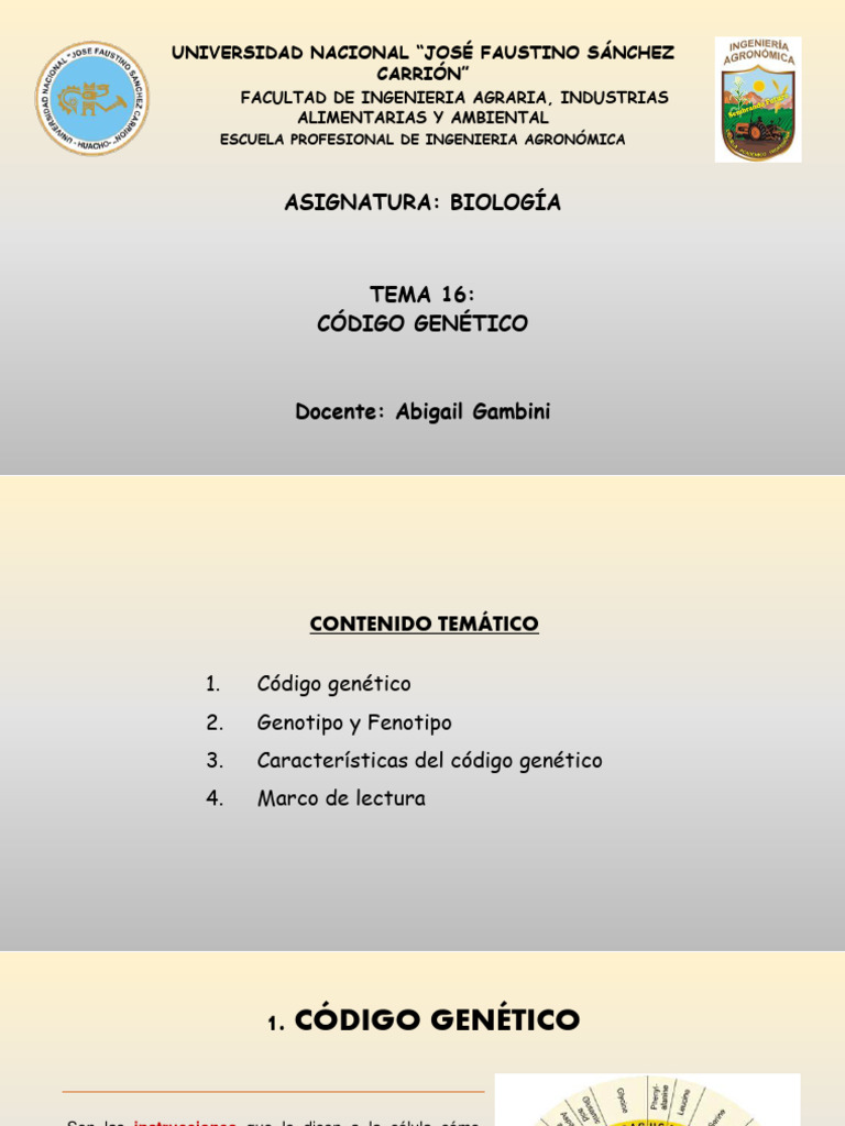 Clase 16. El Código Genético | PDF | Codigo genetico | Adn