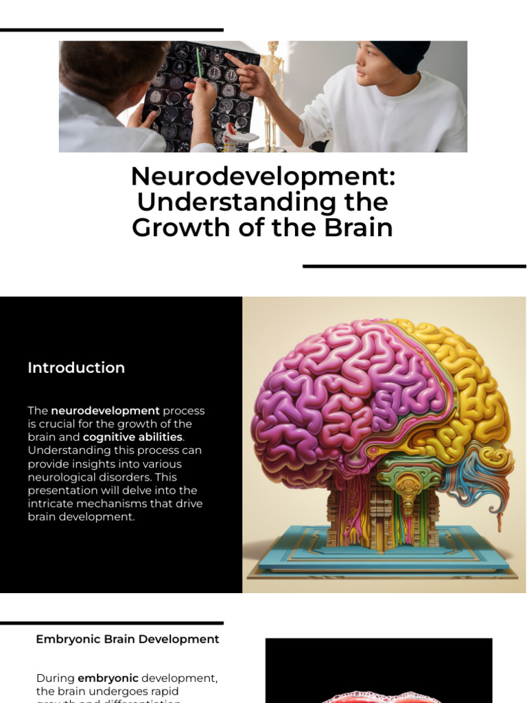 Neurodevelopment Understanding The Growth of The Brain | PDF | Brain ...