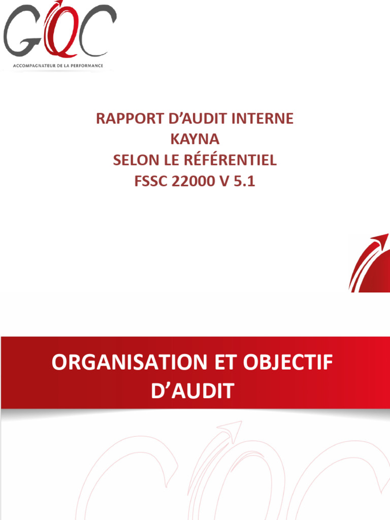 Rapport D'audit Interne | PDF