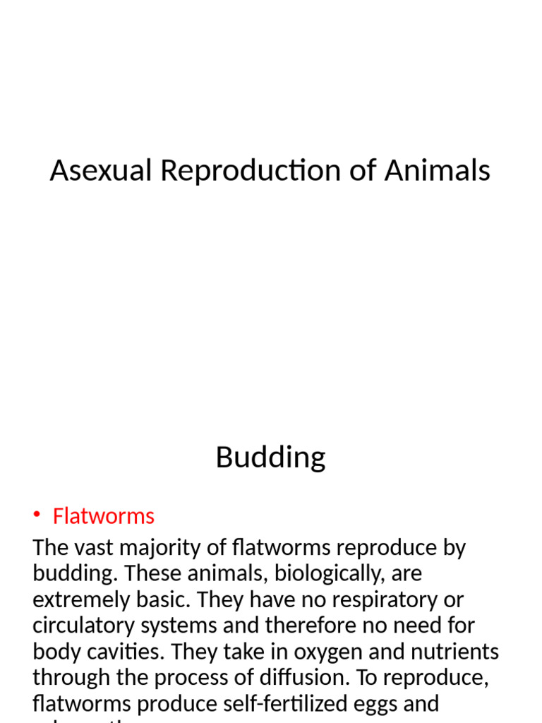 W7 (1) Q3 Sci 5 Animal Reproduction Asex | PDF
