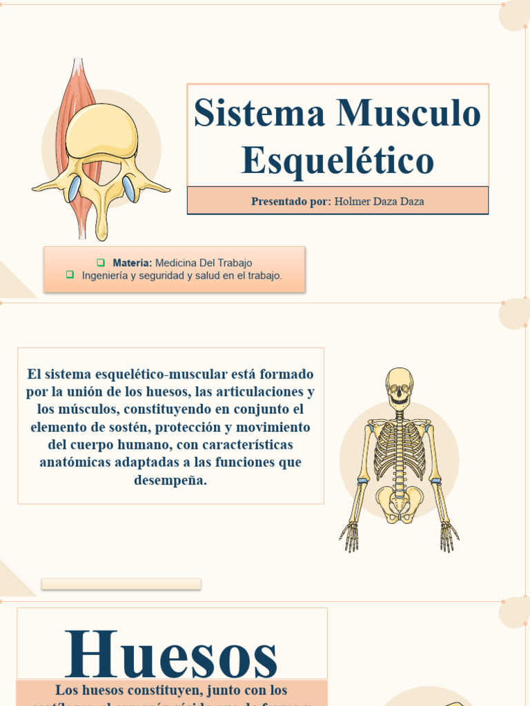 Sistema Musculo Esqueletico Descargar Gratis Pdf Articulación Hueso