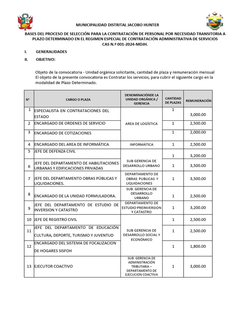 Convocatoria de Personal CAS 2024 MD Jacobo Hunter | PDF
