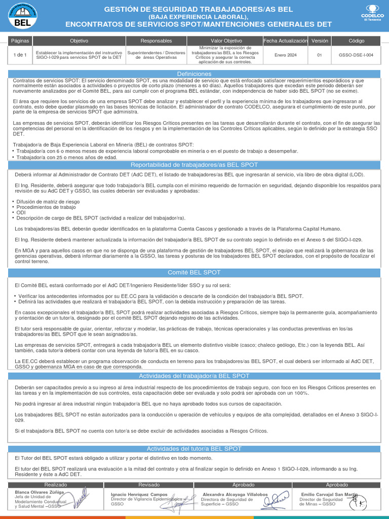 GSSO-DESE-I-004 Instructivo BEL SPOT-MGA v.01 | PDF