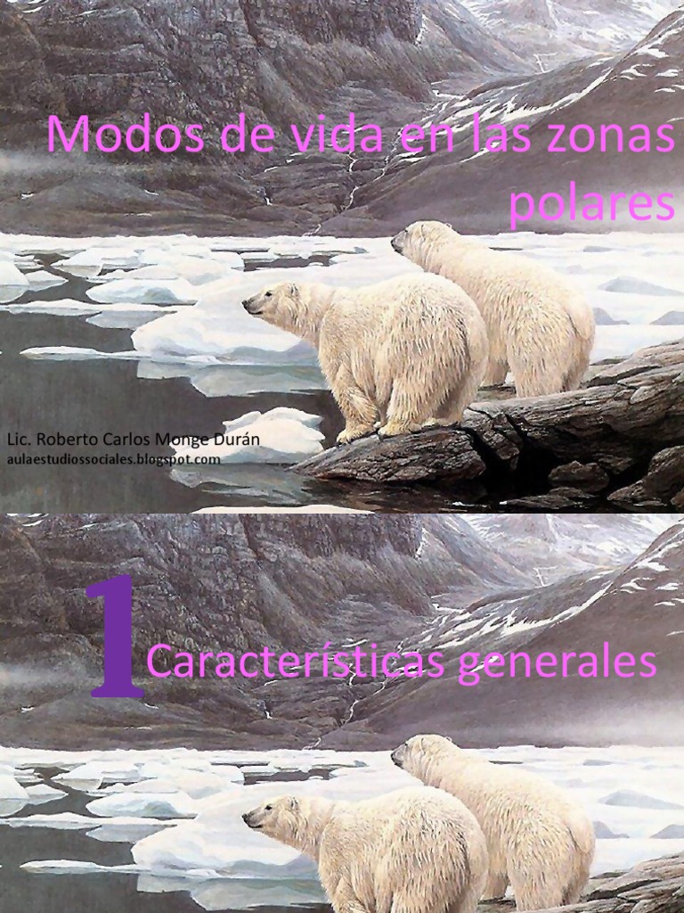 Zonas Polares | PDF | Antártida | Ártico