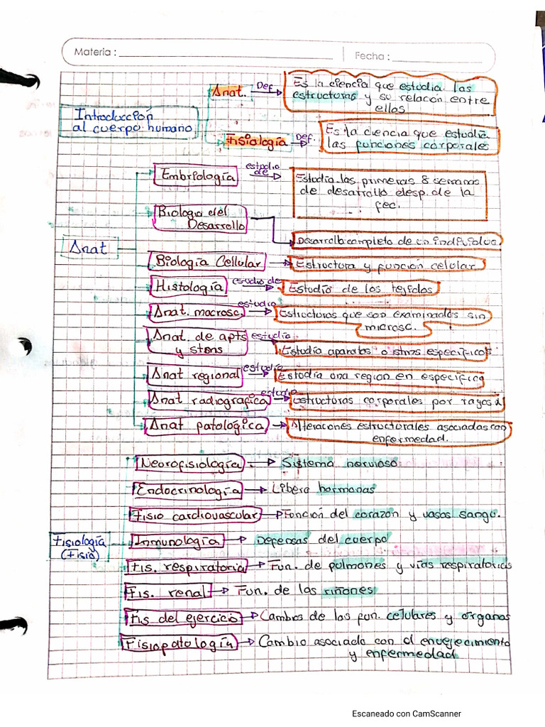 Esquema Tema 1 | PDF