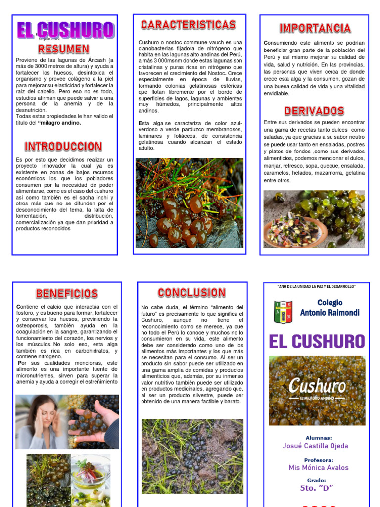 El Cushuro | PDF | Alimentos
