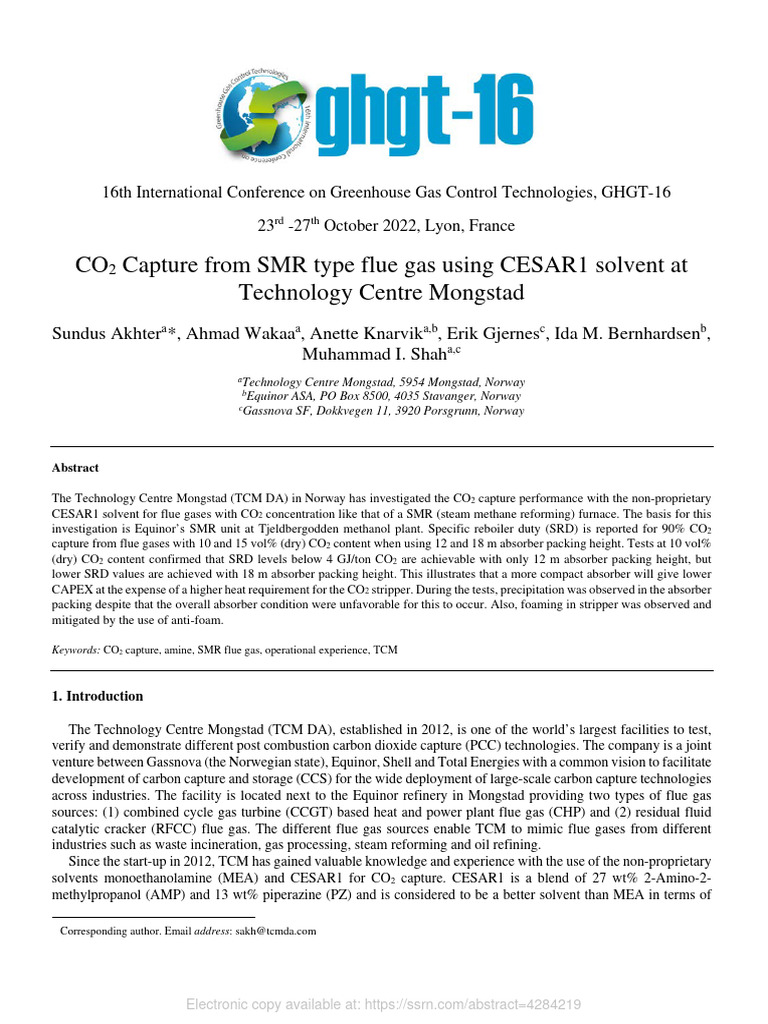 SSRN Id4284219 | PDF | Carbon Dioxide | Natural Gas