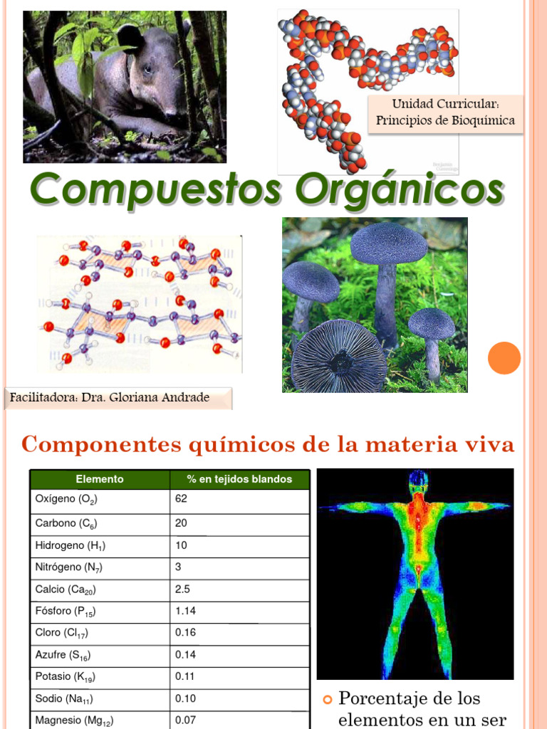 Componentes Esenciales de Los Alimentos | Descargar gratis PDF ...