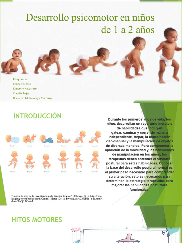 Desarrollo Psicomotor 1 A 2 Años | PDF | Neurociencia | Ciencia cognitiva