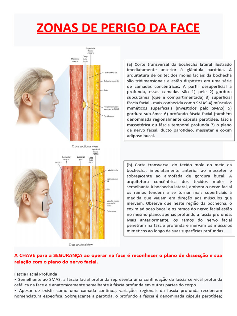 Zonas de Perigo Da Face | PDF | Boca | Nervo