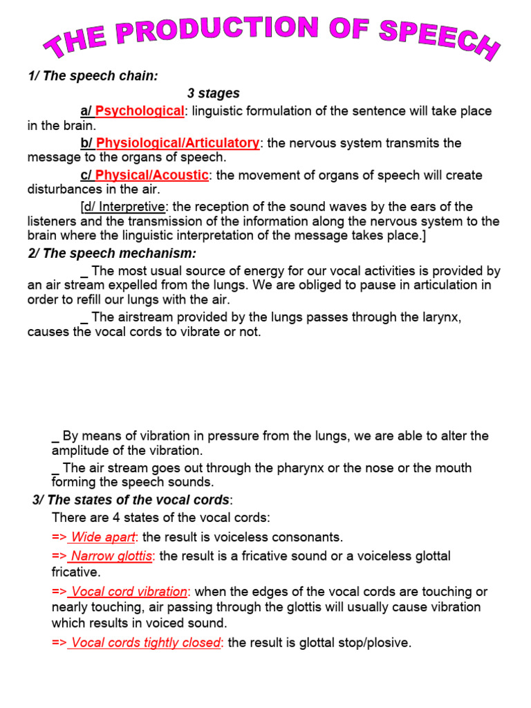 Understanding the Speech Process | PDF