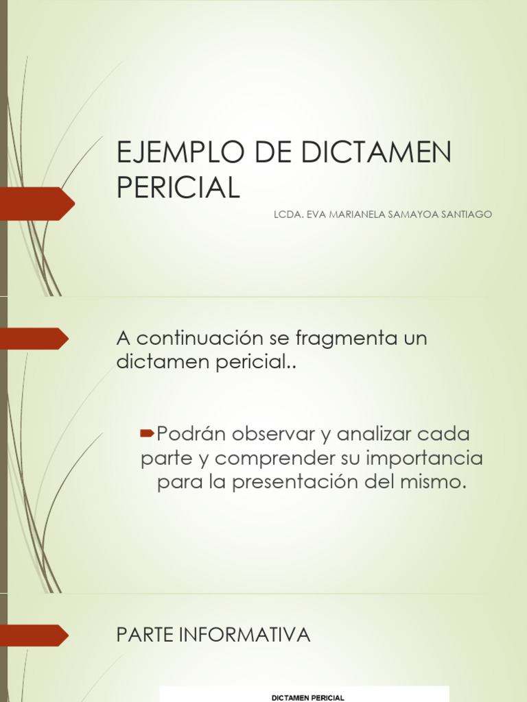 Ejemplo de Dictamen Pericial | PDF