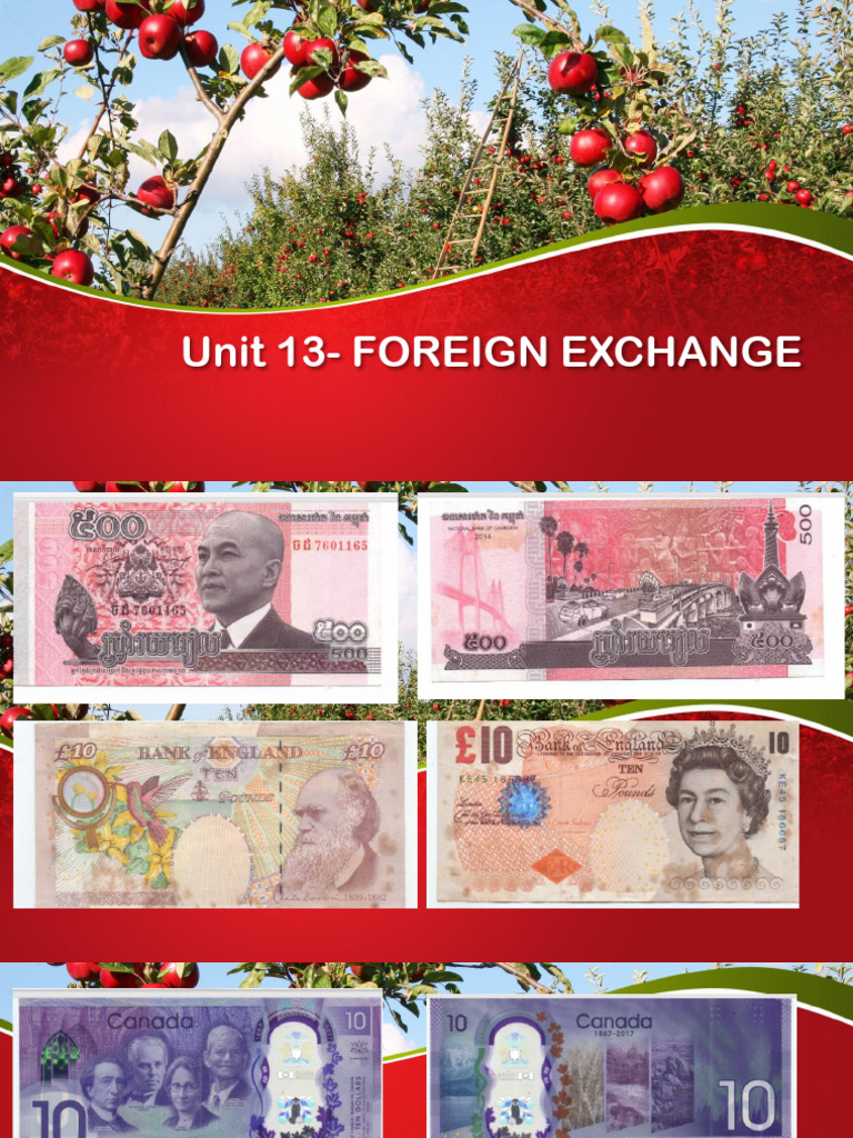 UNIT 13 Background Information | PDF | Exchange Rate | Floating ...