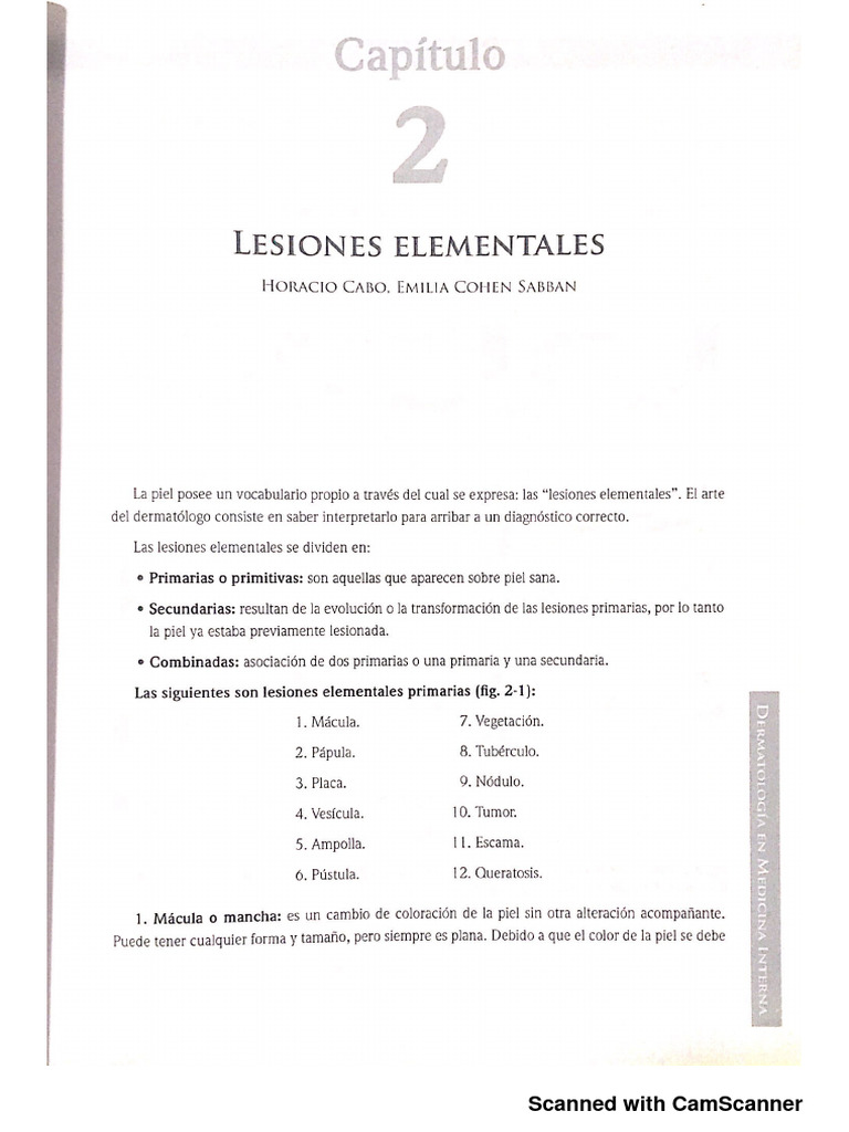 Capitulo 2 Lesiones Elementales | PDF