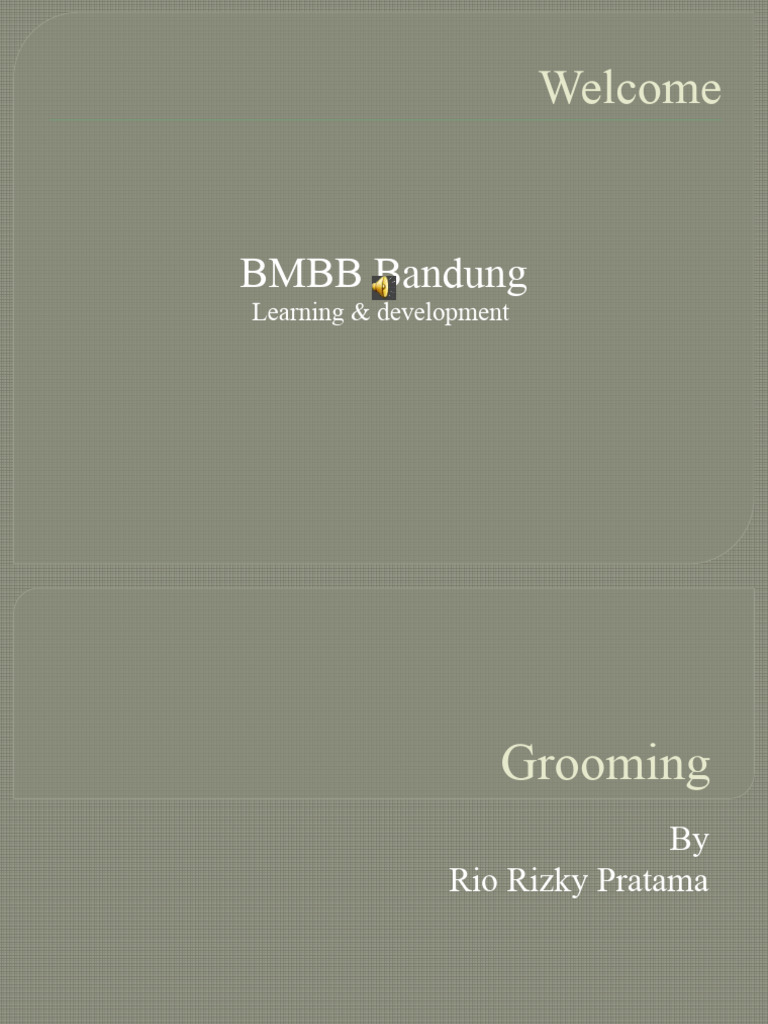 Grooming Kerapihan and Attitude Sikap | PDF