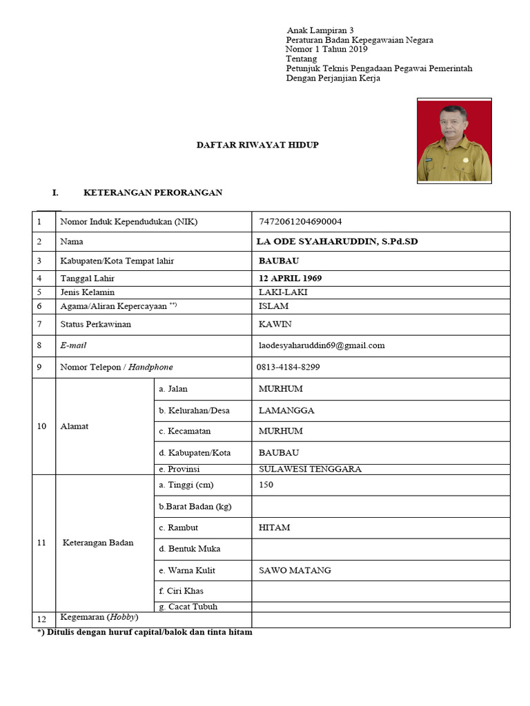 Daftar Riwayat Hidup - BKN PPPK | PDF