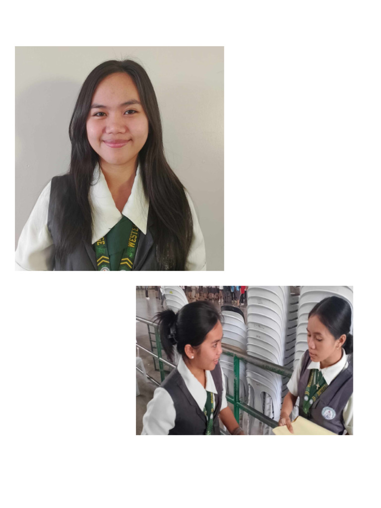 Entrepreneurship Tomampo | PDF