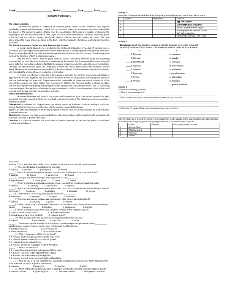 Remedial Worksheet 1 | PDF | Endocrine System | Luteinizing Hormone