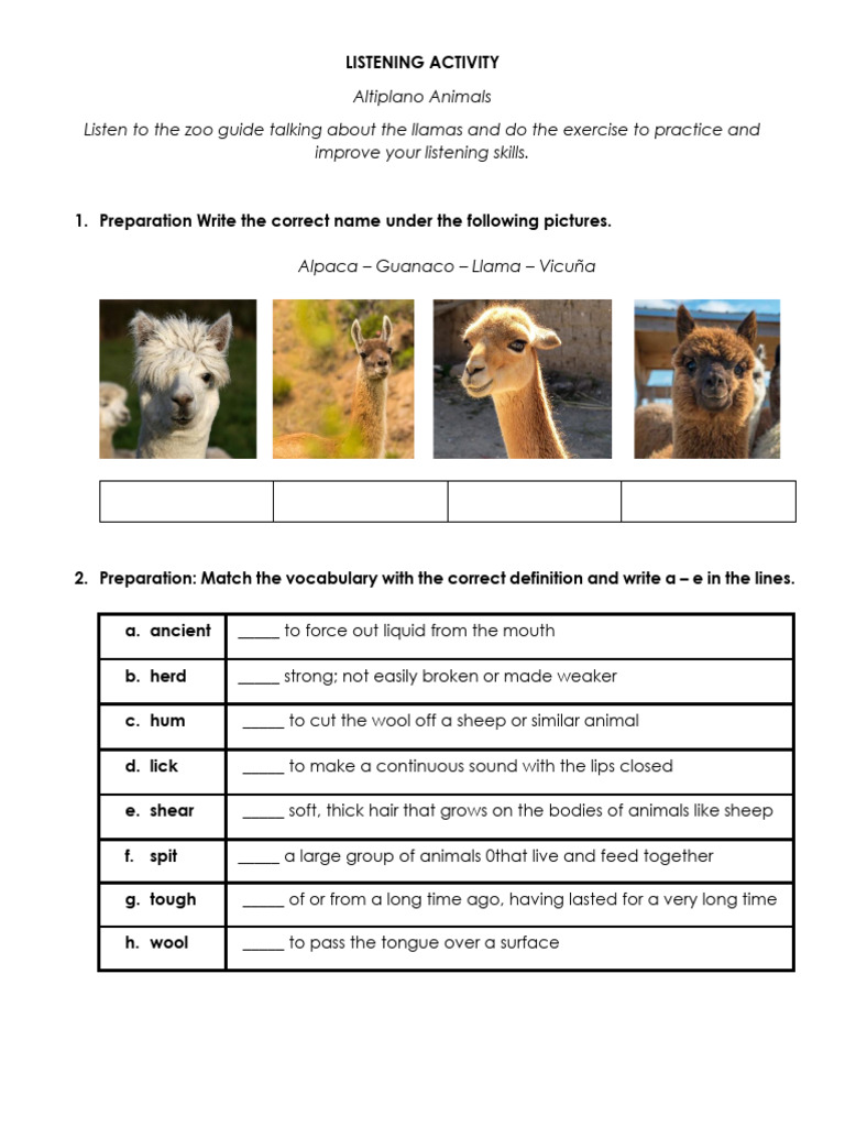Listening - Llamas | PDF | Animal Hair Products | Wool