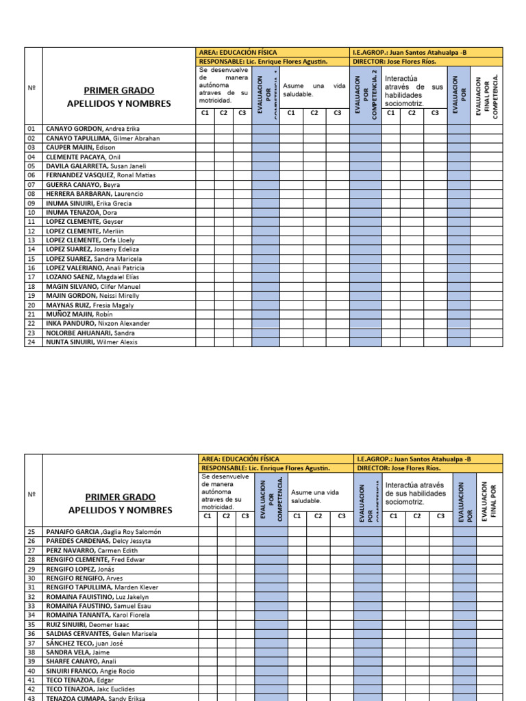 Registro EDUCACION FISICA | PDF