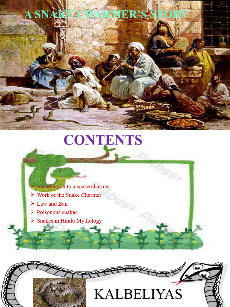 CH 2 Snake Charmer Story | PDF | Snake | Squamata