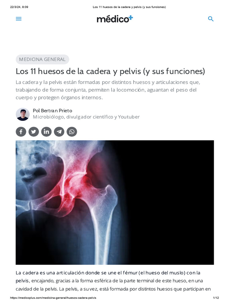 Los 11 Huesos De La Cadera Y Pelvis Y Sus Funciones Pdf Pelvis