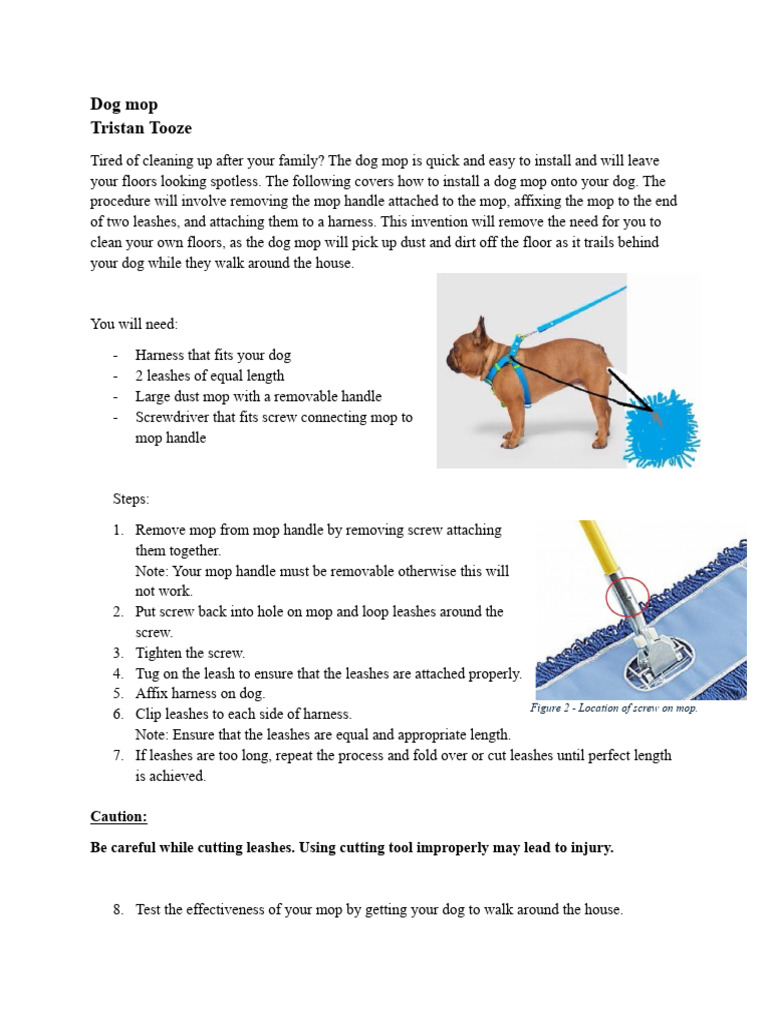 Dog Mop | PDF
