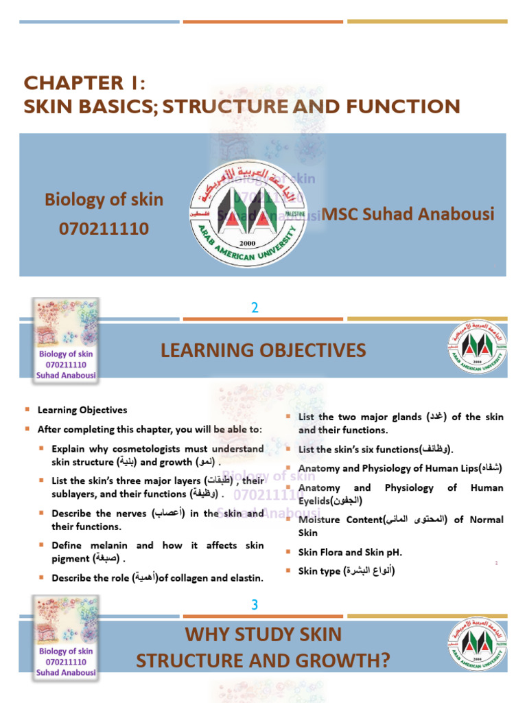 Chapter 1 Skin Basics Structure and Function | Download Free PDF | Skin | Epidermis