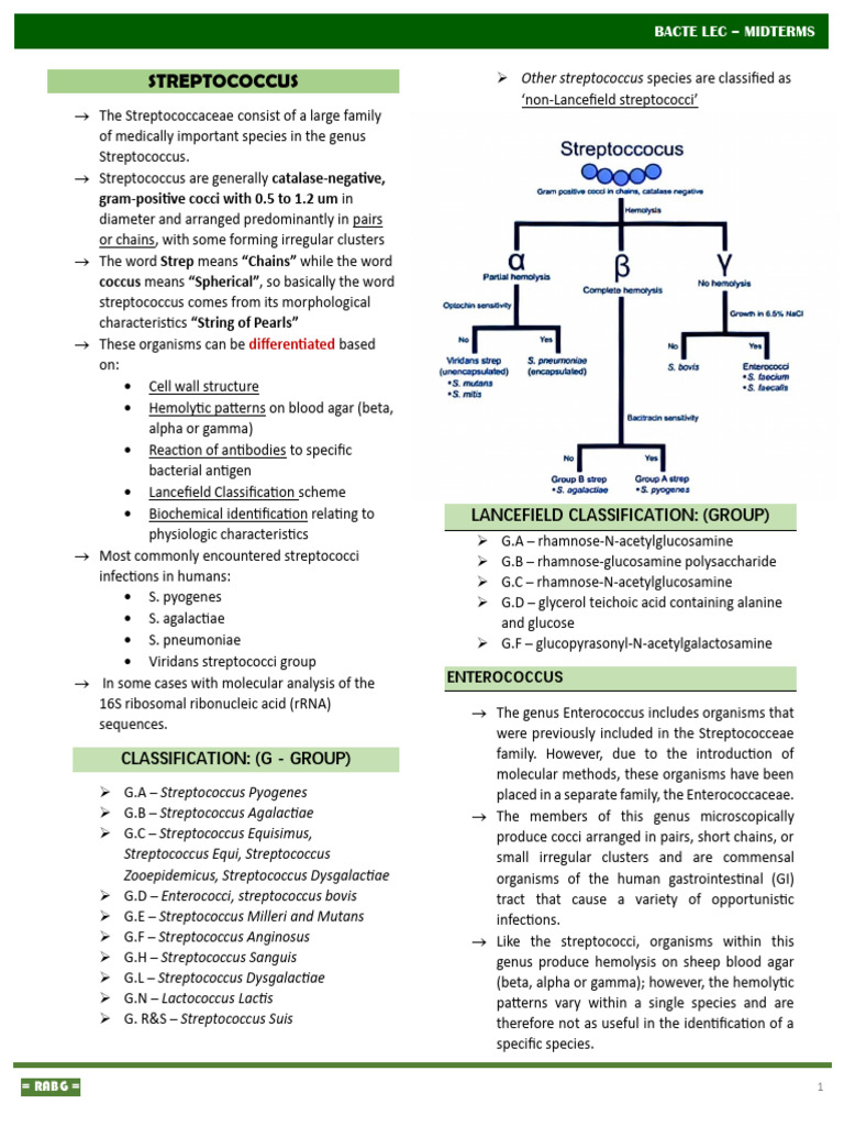Streptococcus and Enterococcus Overview | PDF | Streptococcus | Biology