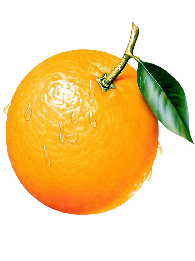 A História Da Laranja | PDF