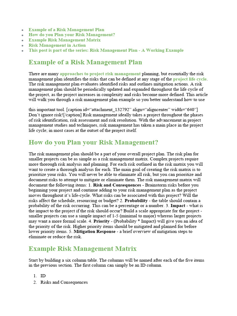 Example of A Risk Management Plan | PDF | Risk Management | Risk