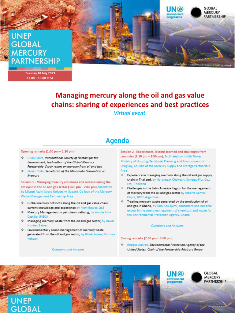 Managing Mercury in Oil and Gas Sector | PDF | Mercury (Element ...