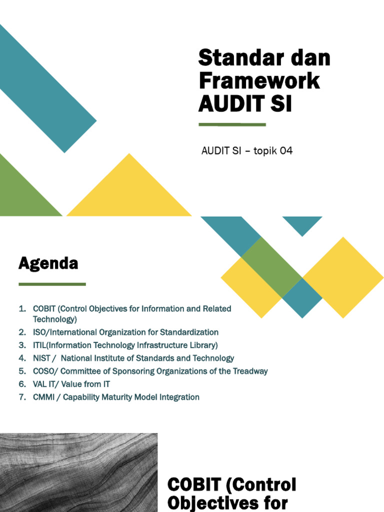 Standar Dan Framework AUDIT SI | PDF