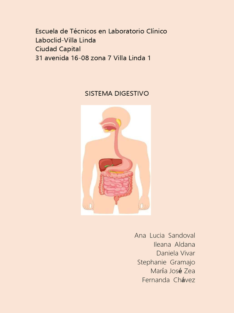 Aparato Digestivo Resumen-1 | PDF | Digestión | Tracto gastrointestinal