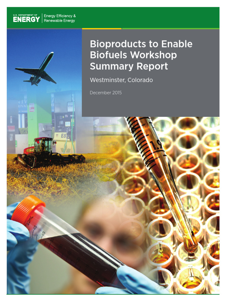 Bioproducts To Enable Biofuels Workshop Report | PDF | Biofuel ...