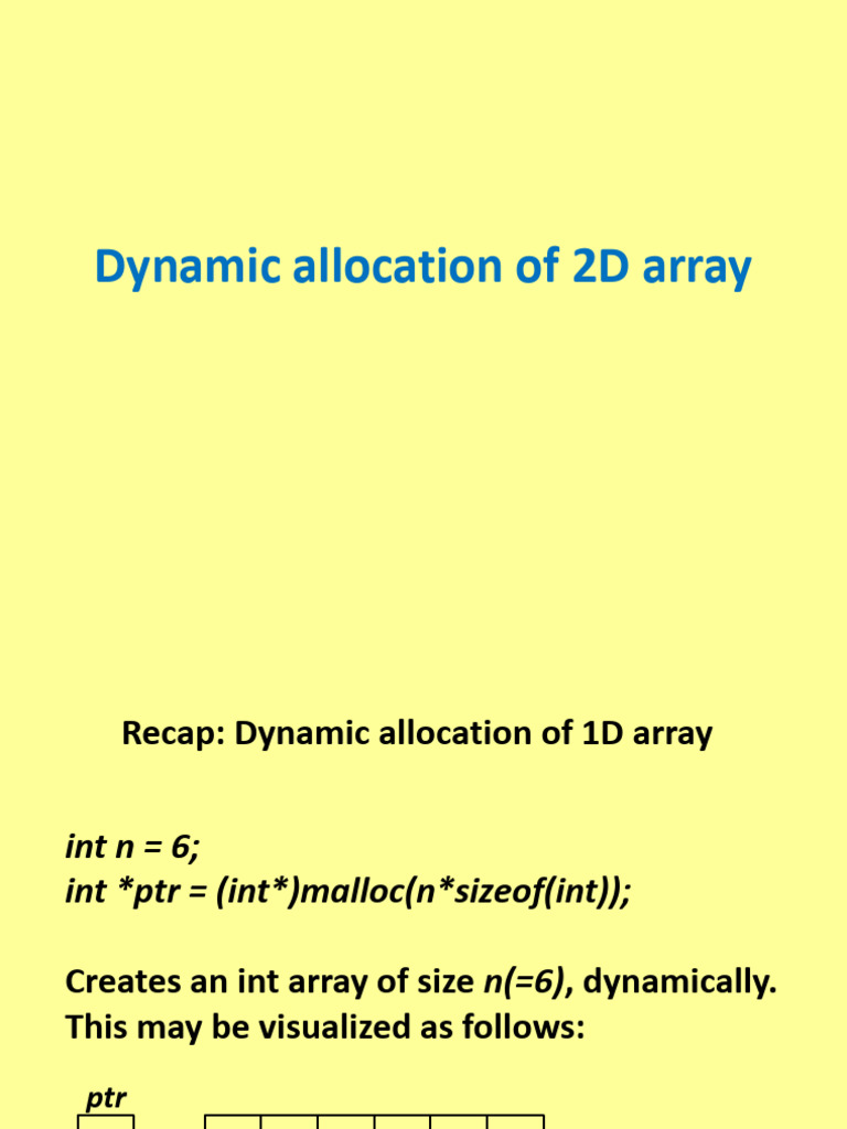 Dynamic Allocation of 2D Array | PDF