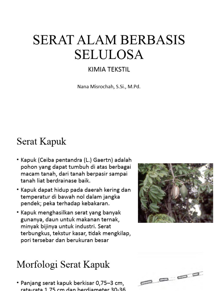Serat Alam Basis Selulosa | PDF