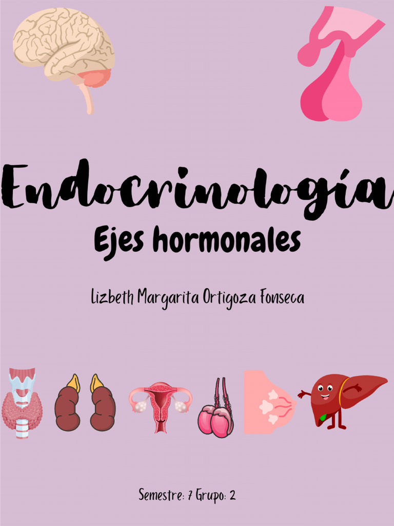 Ejes Hormonales | PDF