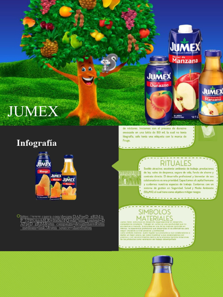 Grupo Jumex | PDF | Economias