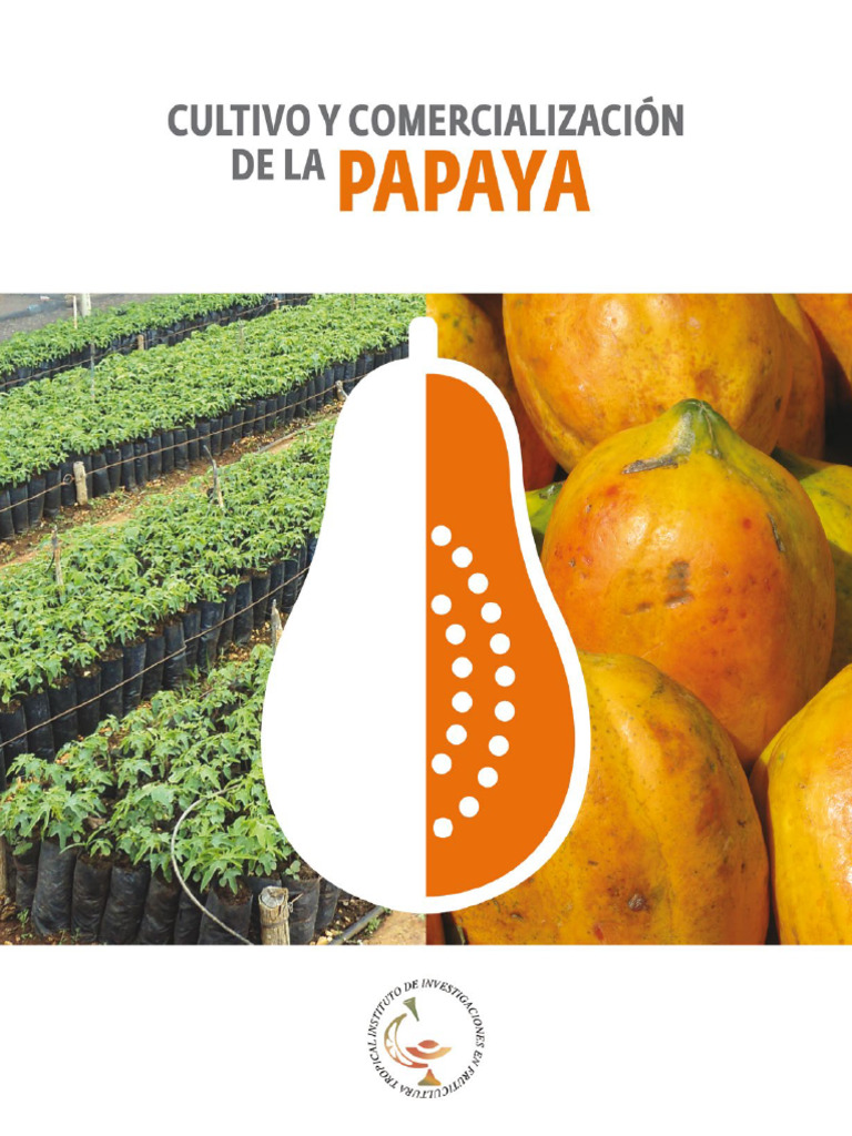 PNUD Cuba Papaya Cultivo Comercialización | PDF | Flores | Agricultura