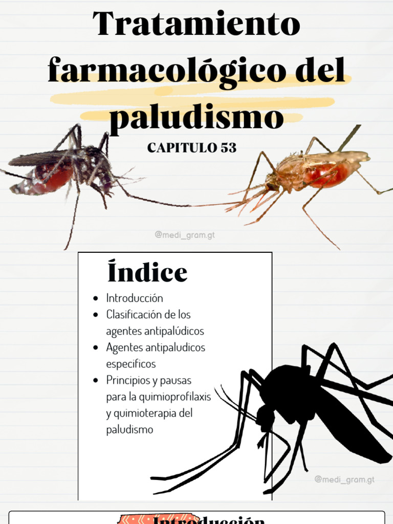 Tratamiento Farmacológico Del Paludismo | PDF | Malaria | Plasmodium