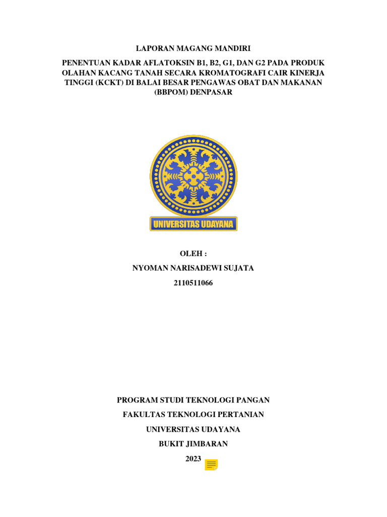 Laporan Magang Mandiri | PDF