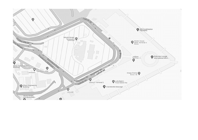 Naia Map T2 Grayscale | PDF